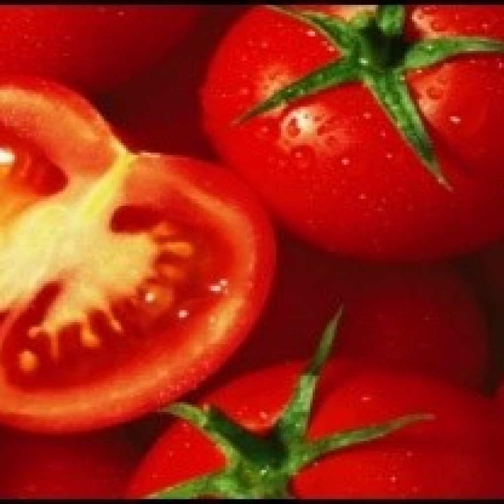 sdgf - Lunaca Logística